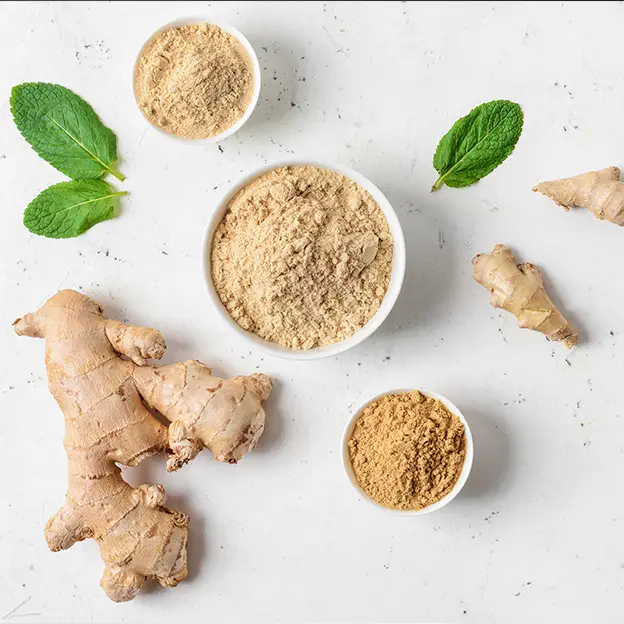 Home - Anusan Gesundheitsprodukte GmbH